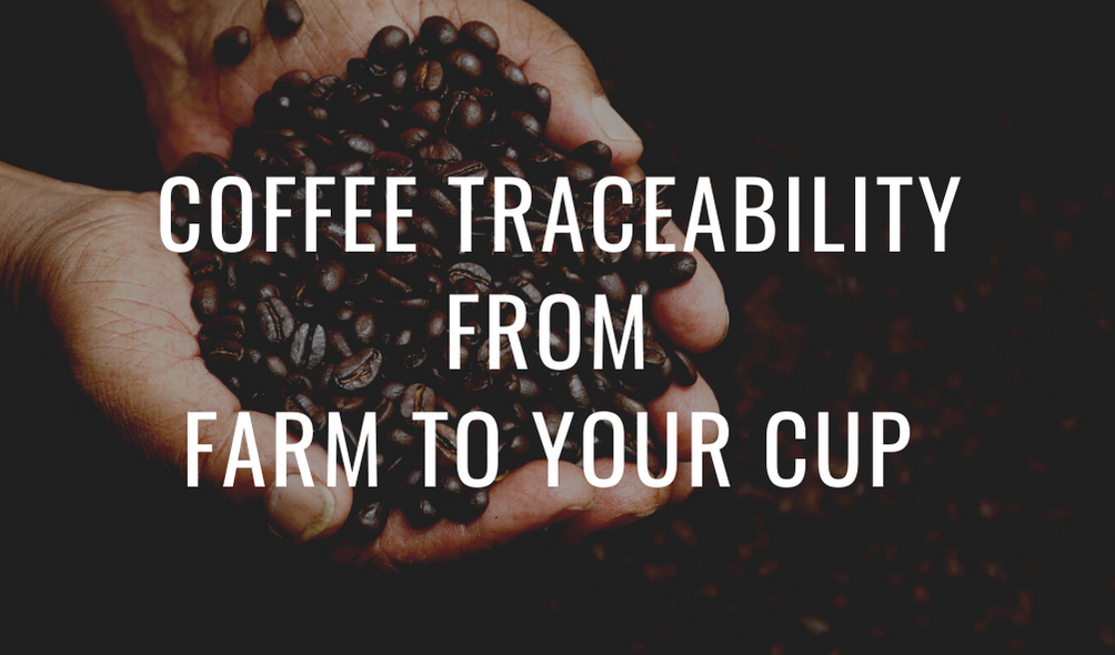 Coffee traceability from farm to your cup